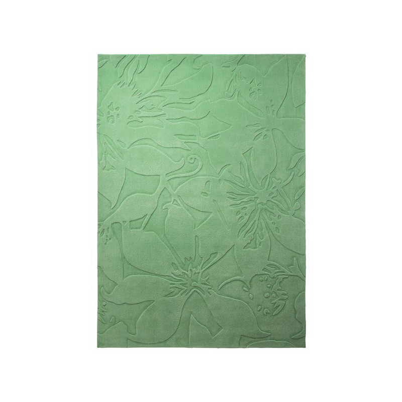 Tapis Vert pas cher : vert emeraude, menthe, bouteille - Tapis Chic